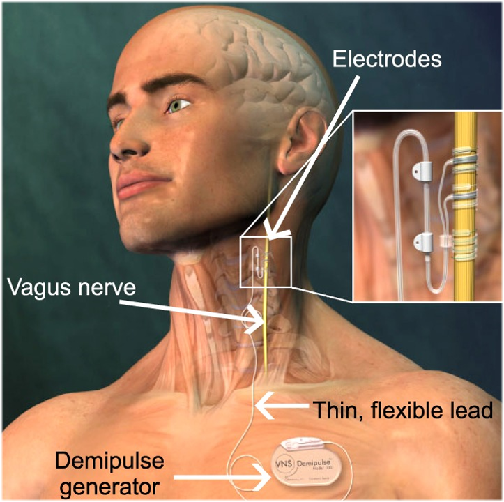 Education & Outreach – The ReBooT Lab